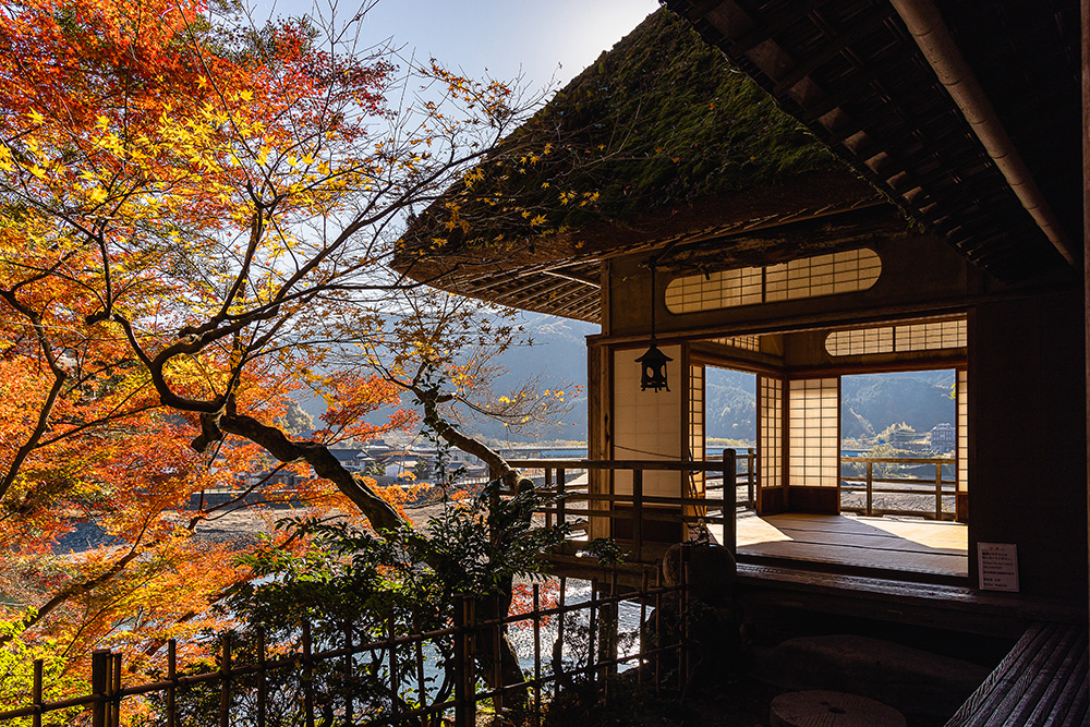 Conheça Ehime – Postagem Kowa