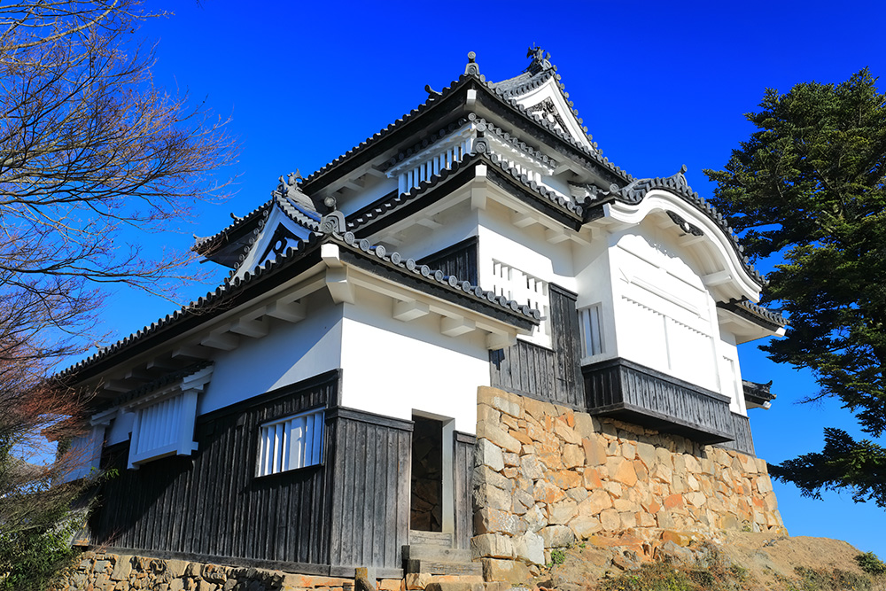 Conheça Ehime – Postagem Kowa